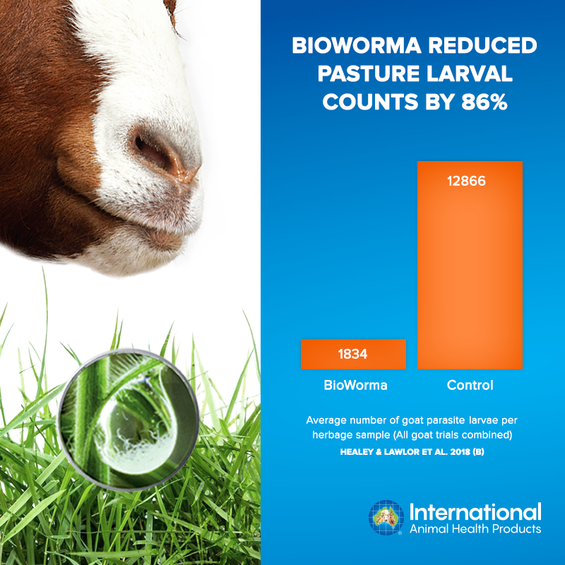 Fighting Parasites with Fungus - Goat Journal